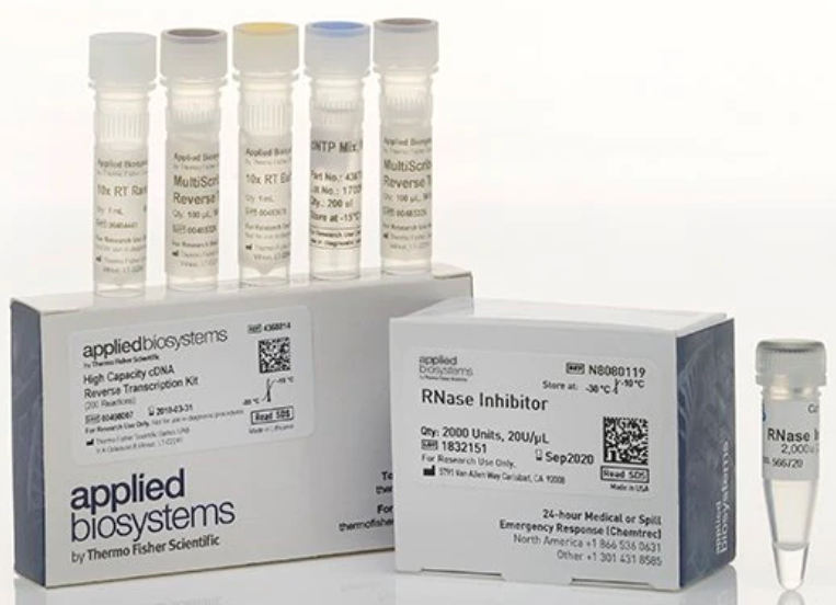 Applied Biosystems High Capacity RNA to cDNA CDNA Reverse applied-biosystems-high-capacity-rna-to-cdna-cdna-reverse